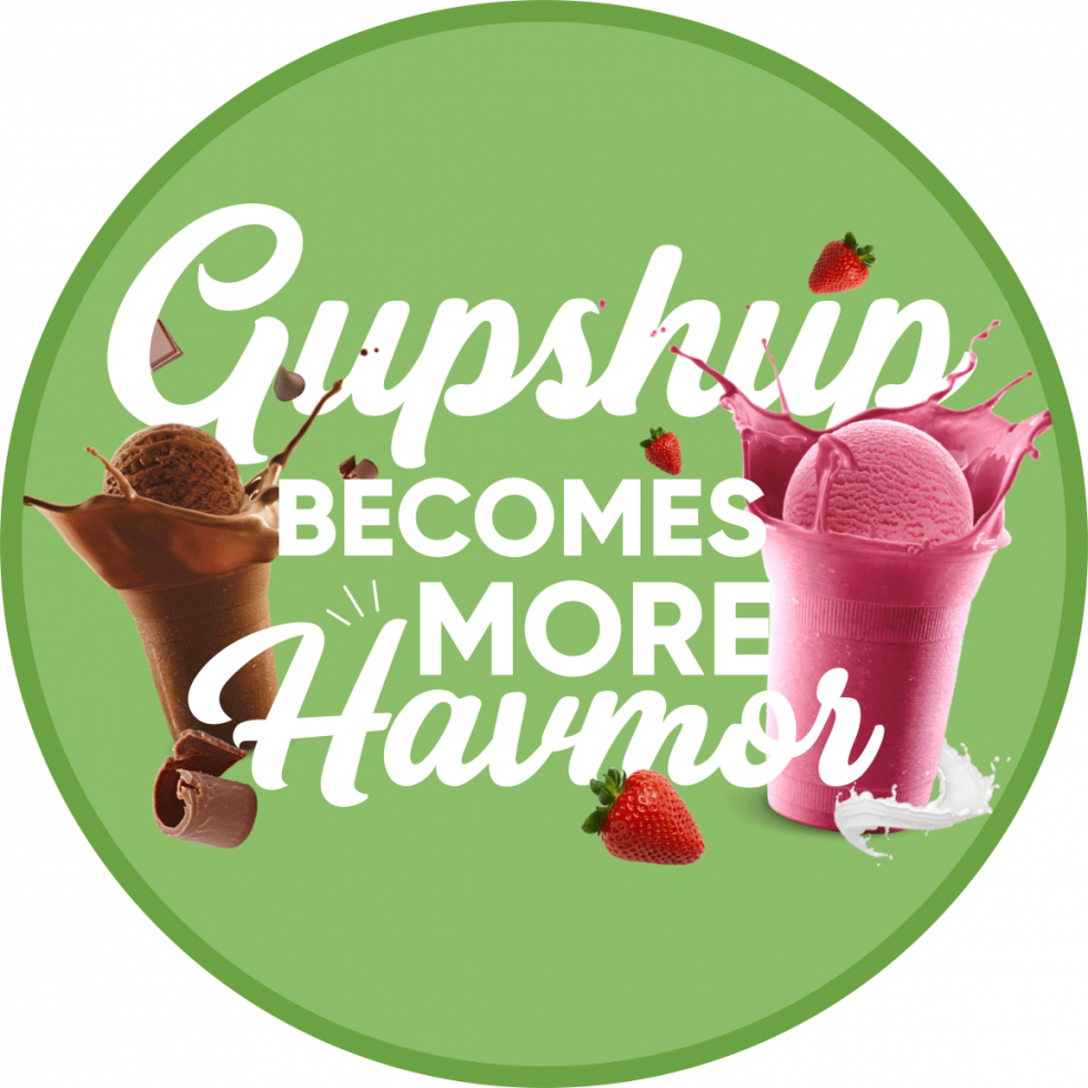 Havmor: Ice Cream Packaging Design | OneZeroEight Agency